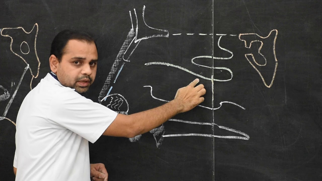 Gross Anatomy of Nose Part 2 - YouTube