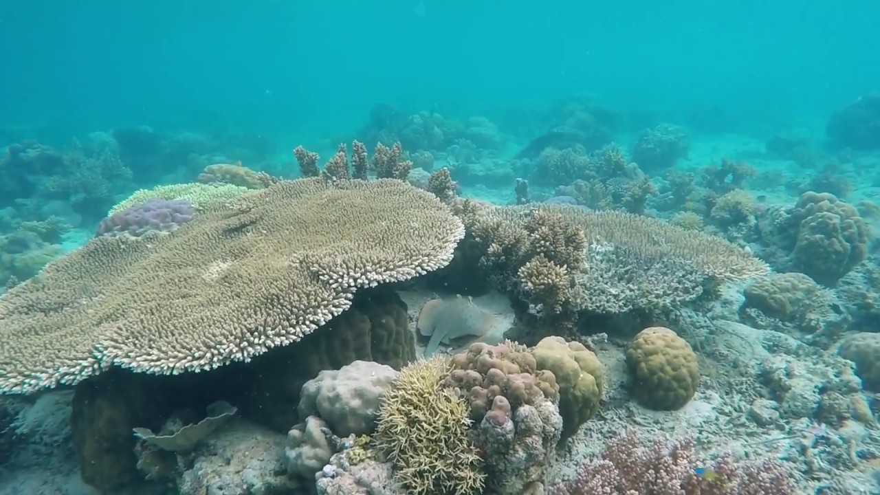 DISCOVER: Stephanie Robillard - YouTube