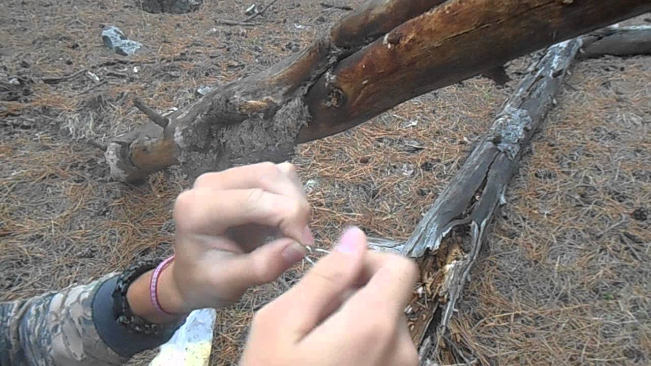 How To Make A Squirrel Snare Trap YouTube How To Make A Squirrel Snare Trap YouTube