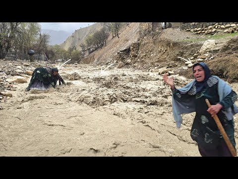 Esmat in the Heart of the Storm: A Surprising Adventure in the Zagros Mountains! 🌧️🏔️