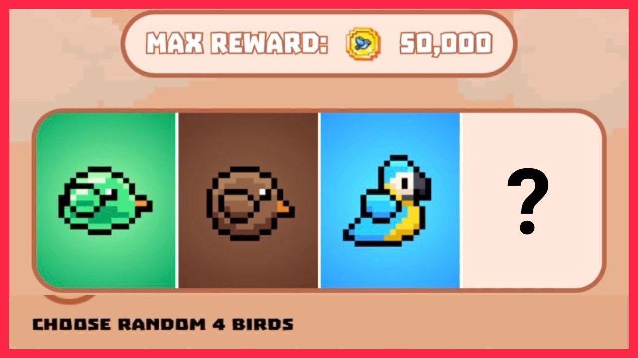 Bird Daily Combo Today 3 February | Bird Combo Today | Daily Combo Bird ...