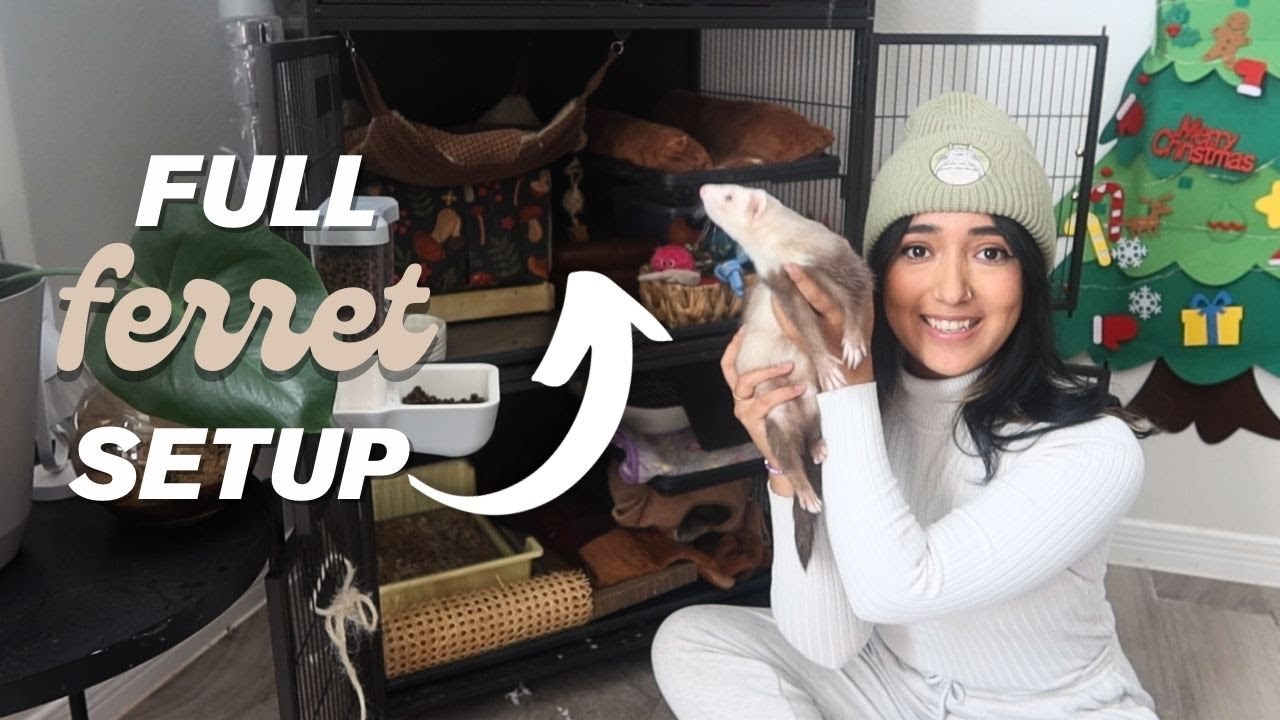 HOW TO SET UP YOUR FERRETS FIRST CAGE | CAGE TOUR 2025 - YouTube