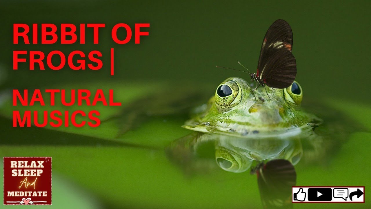 RIBBIT OF FROGS | music to sleep,relax, meditate | outdoor music | zen ...
