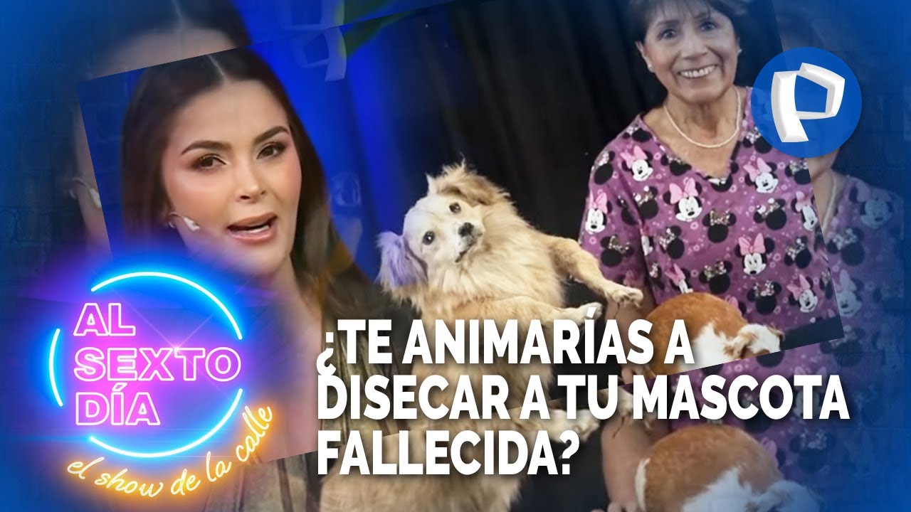 Taxidermia para tenerlos contigo: ¿Te animarías a disecar a tu mascota ...