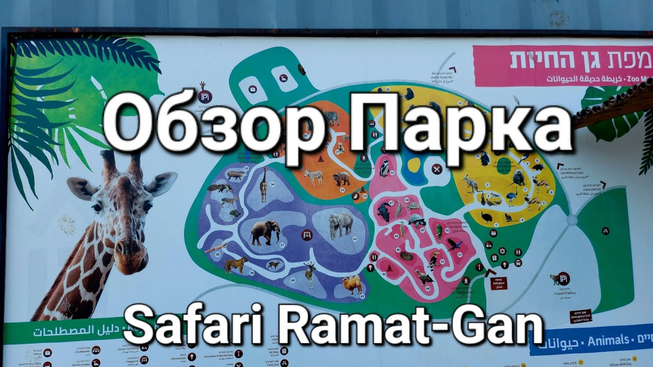 Обзор парка.Safari Ramat-Gan#животные #zoo #safari - YouTube