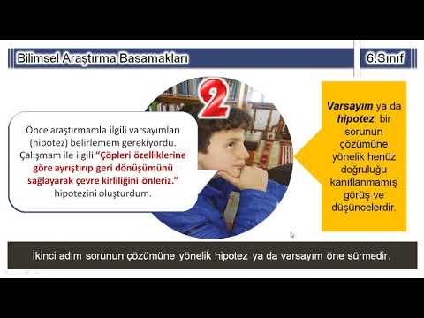 Araştırma basamakları