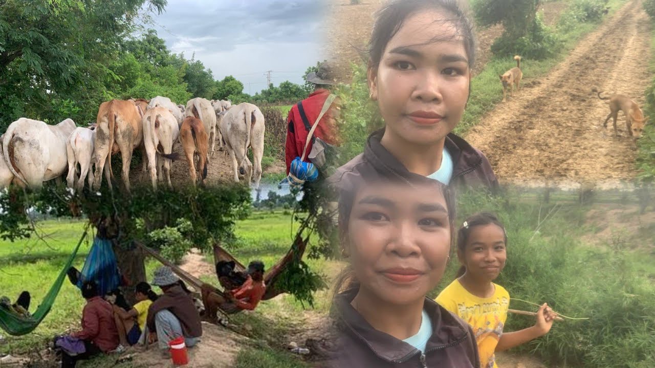 The day we went out to see the cows, we had a lot of fun together ...
