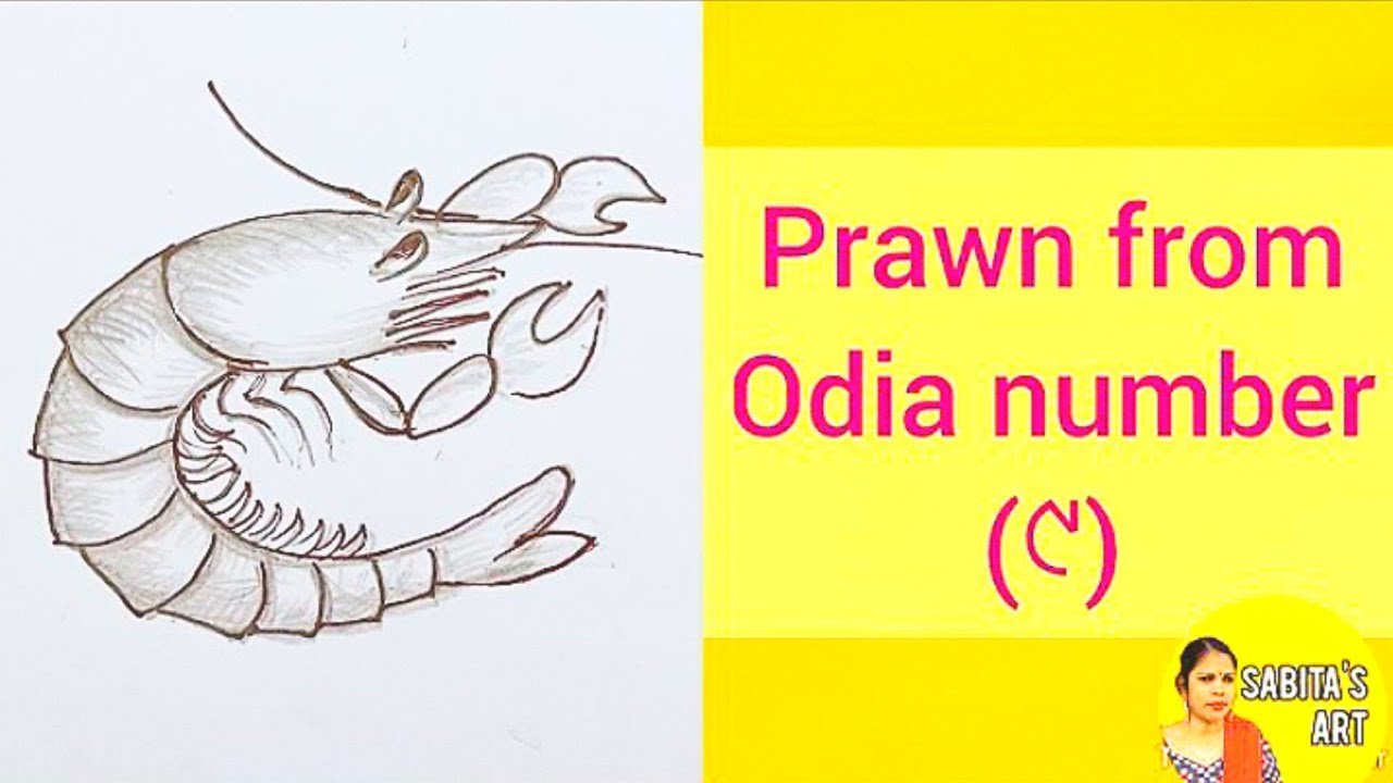 How to draw a prawn, drawing of prawn.Sabita's art. - YouTube