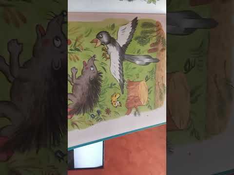 РАЗ, ДВА, ДРУЖНО!! - СУТЕЕВА