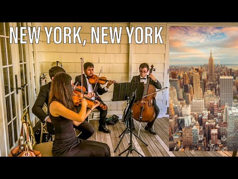 VSmusic4u String Quartet for Events in Long Island New York, book ...