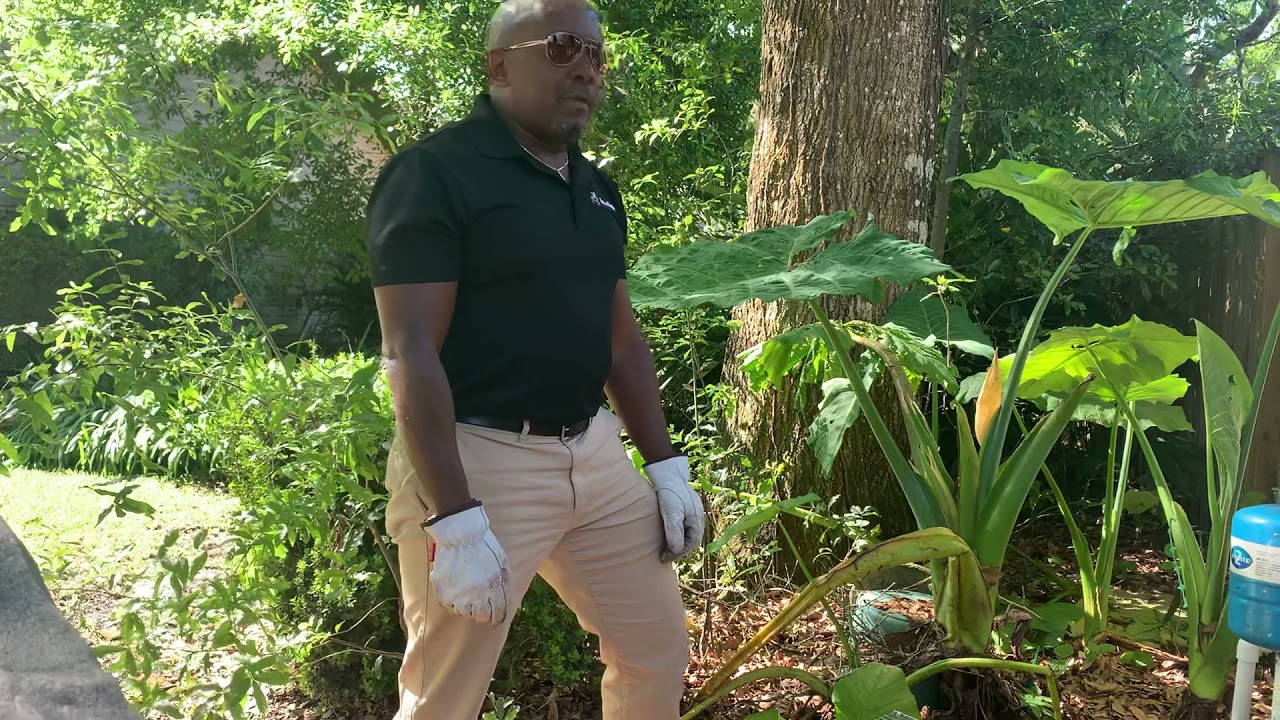 April 27, 2021 - YouTube