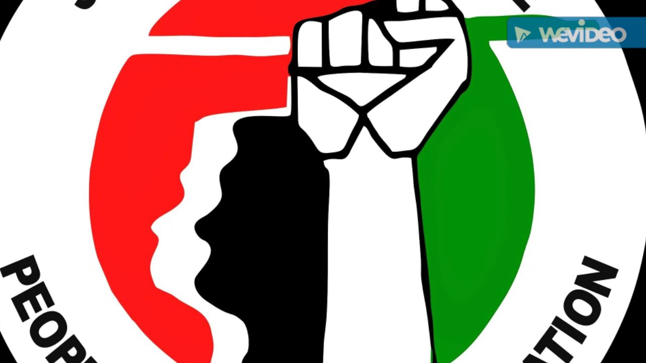 Peoples Students Federation District Chakwal (PSF) - YouTube