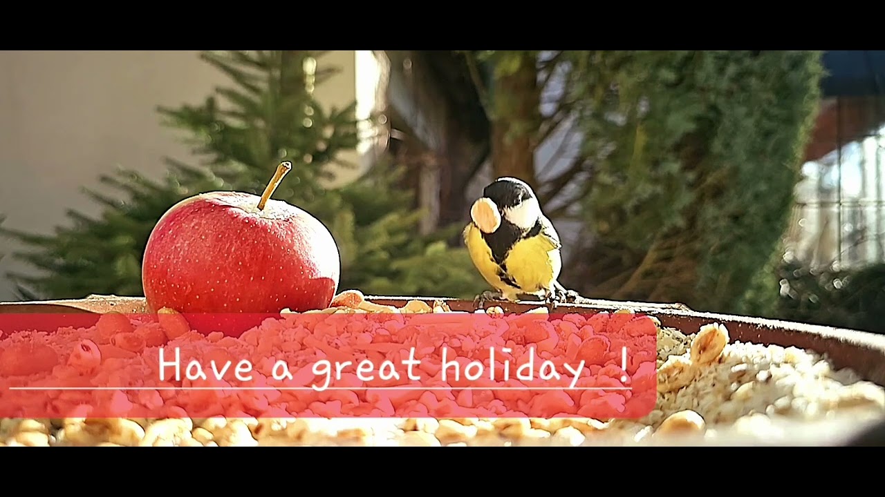 Have a great holiday ! - YouTube