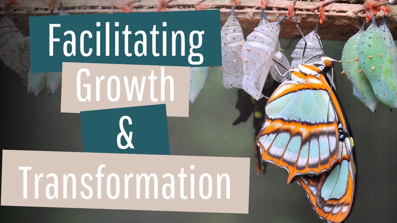 Facilitating Growth and Transformation - YouTube