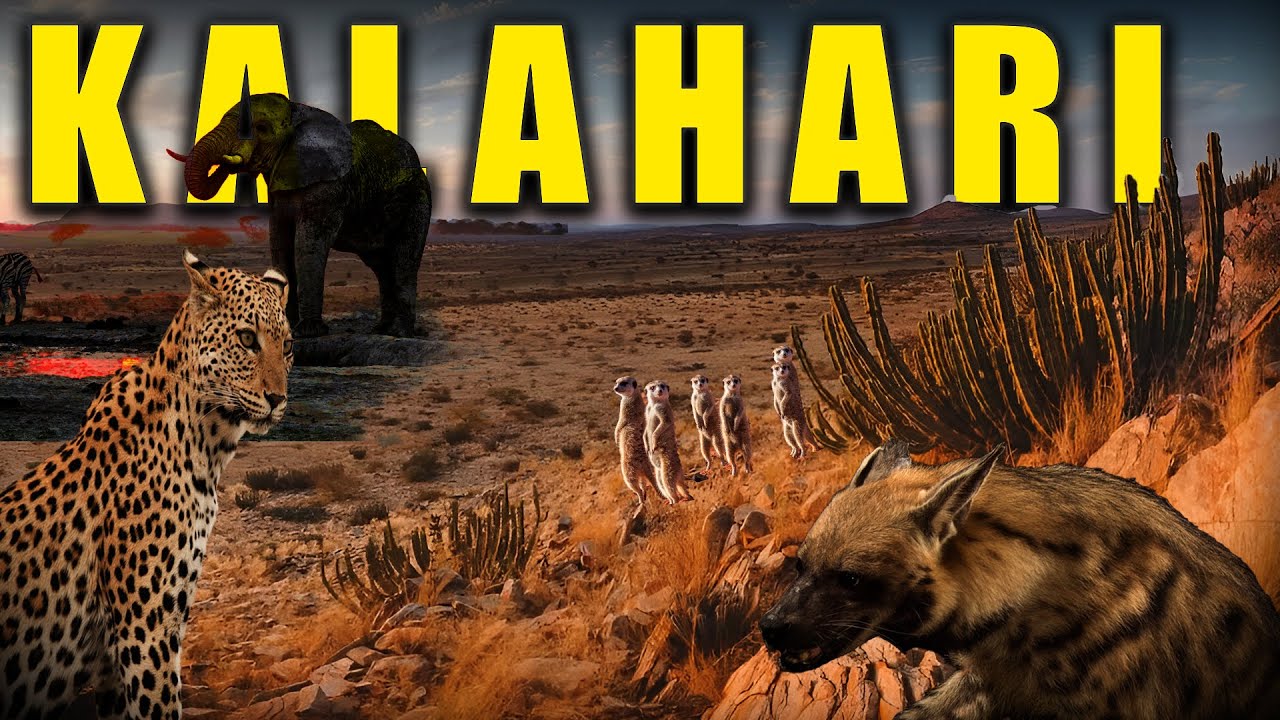 Mysteries of the Kalahari Desert and stories of the jungle अफ्रीका का ...