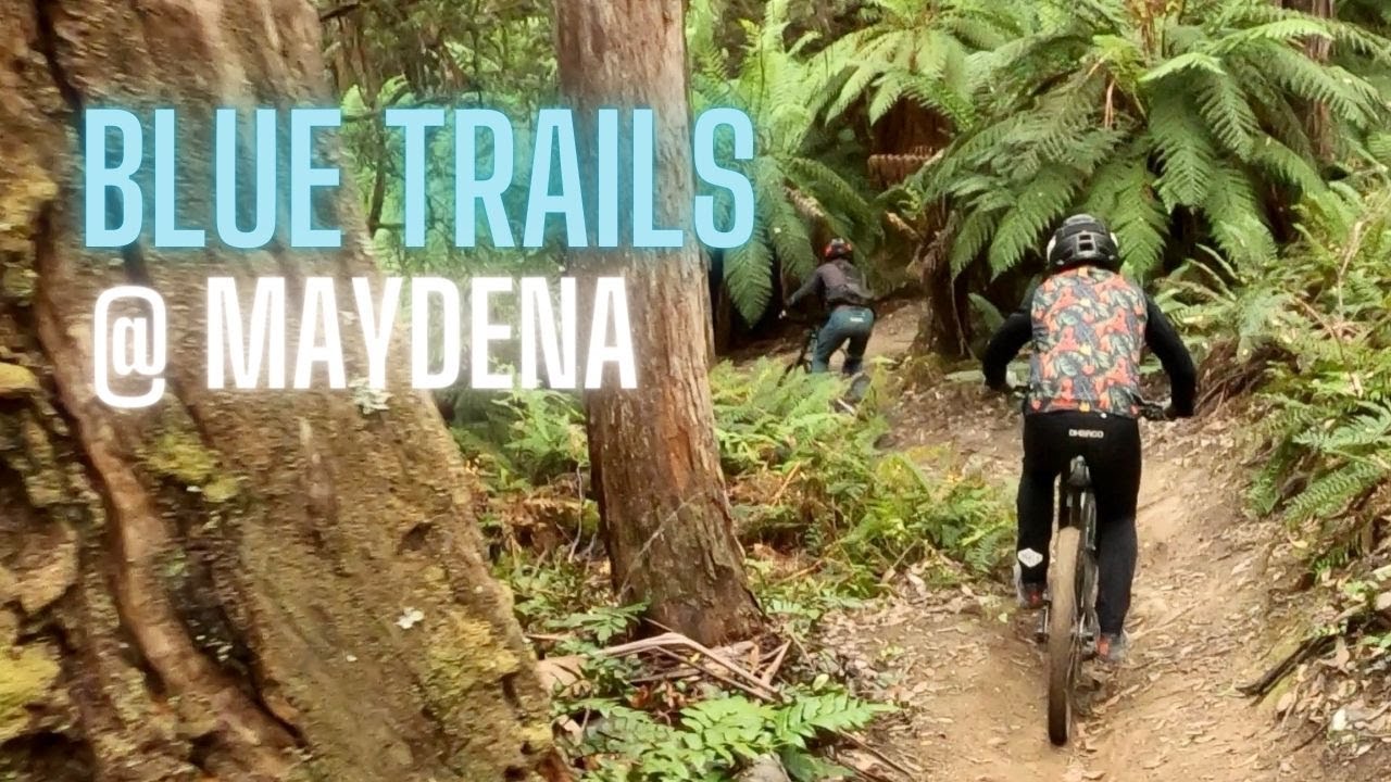 What are Blue Trails at Maydena like? - YouTube
