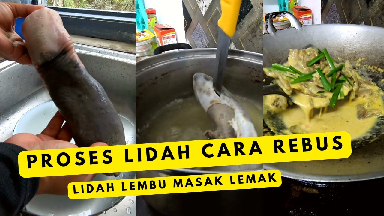 Proses Lidah Lembu Cara Rebus dan Masak Lidah Lemak Cili Api - YouTube