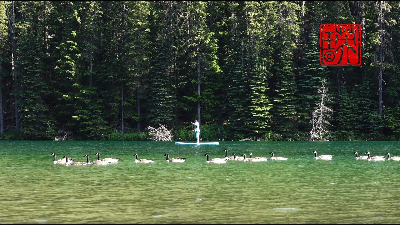 Lightning Lake，BC Summer of 2022 || 4K Video - YouTube