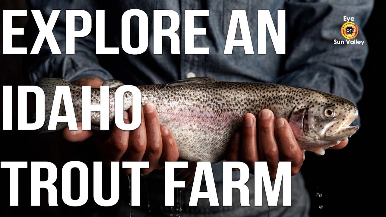 Marie's Kitchen + Riverence Trout Farms - YouTube