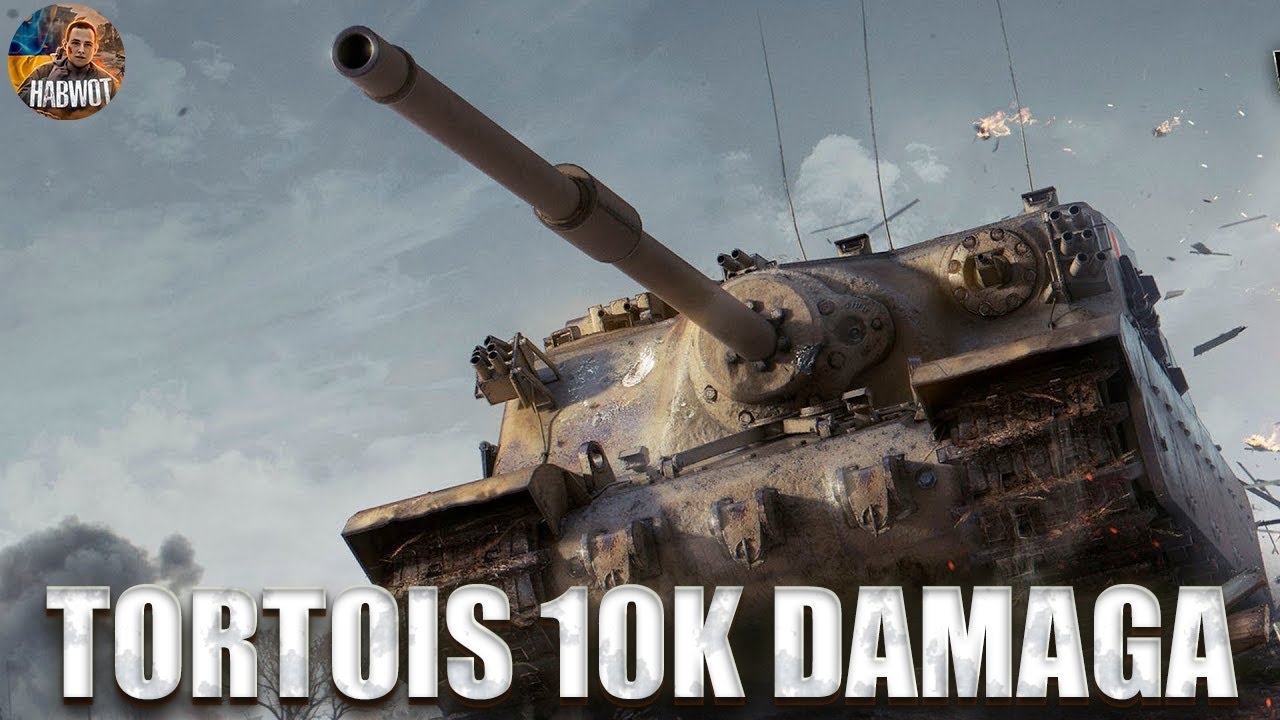 TORTOISE 10K DAMAGE POWERFUL COMBAT - YouTube