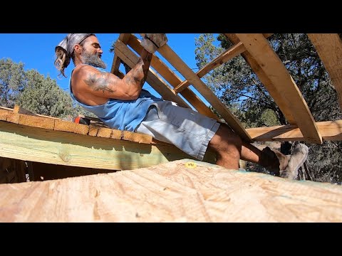 47. Trash House. Recycled OSB Sheets for Roofing, Planting Palm Trees ...