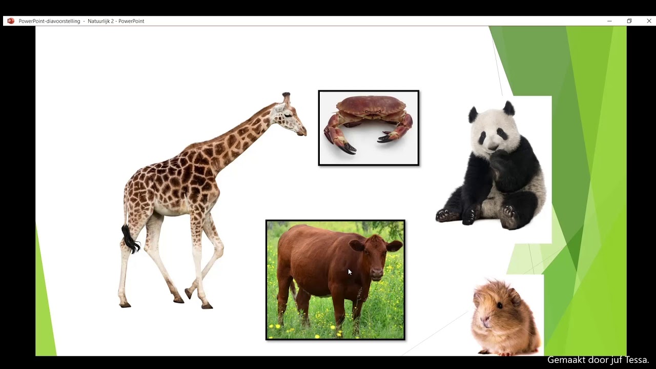 Natuurlijk! Sessie 2 - de voedselkringloop - YouTube