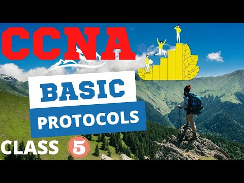 Basic protocols in CCNA #ccna #ccnafullcourse #ccnanepal # ...