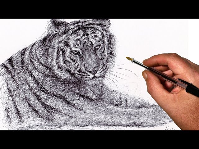 How to Scribble Draw a Tiger with a Ballpoint Biro Pen - Videos For Kids