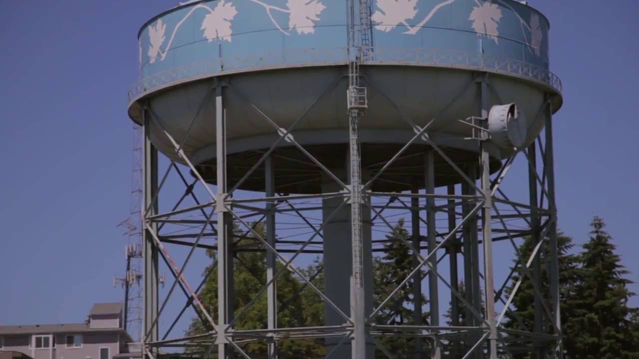 Divaland - Explore Seattle Maple Leaf Neighborhood - YouTube