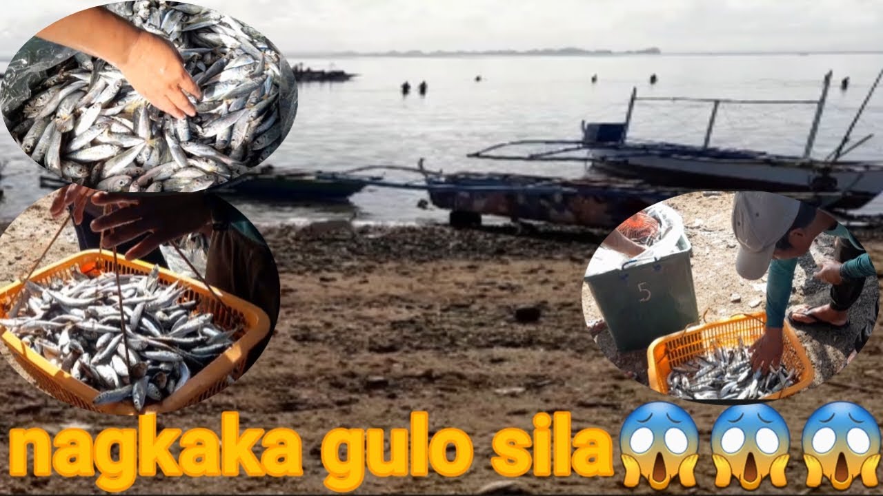 nagkakagulo cla! bakit kaya!? - YouTube