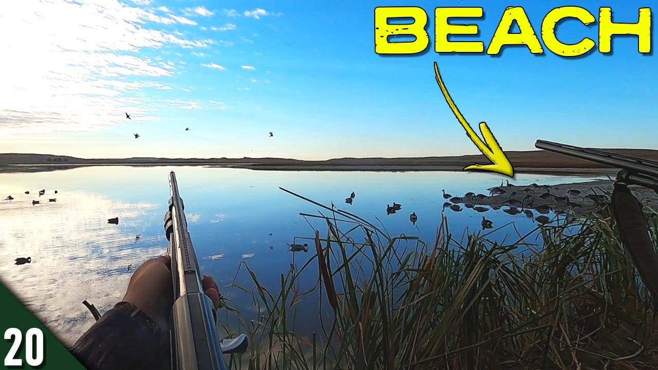 Hunting DUCKS on a Sandy Beach | Duck Hunting the Sandhills - YouTube