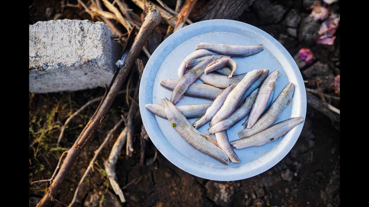 Bommidayila Pulusu | బొమ్మిడాయిల పులుసు | with best tips | Fish Pulusu ...