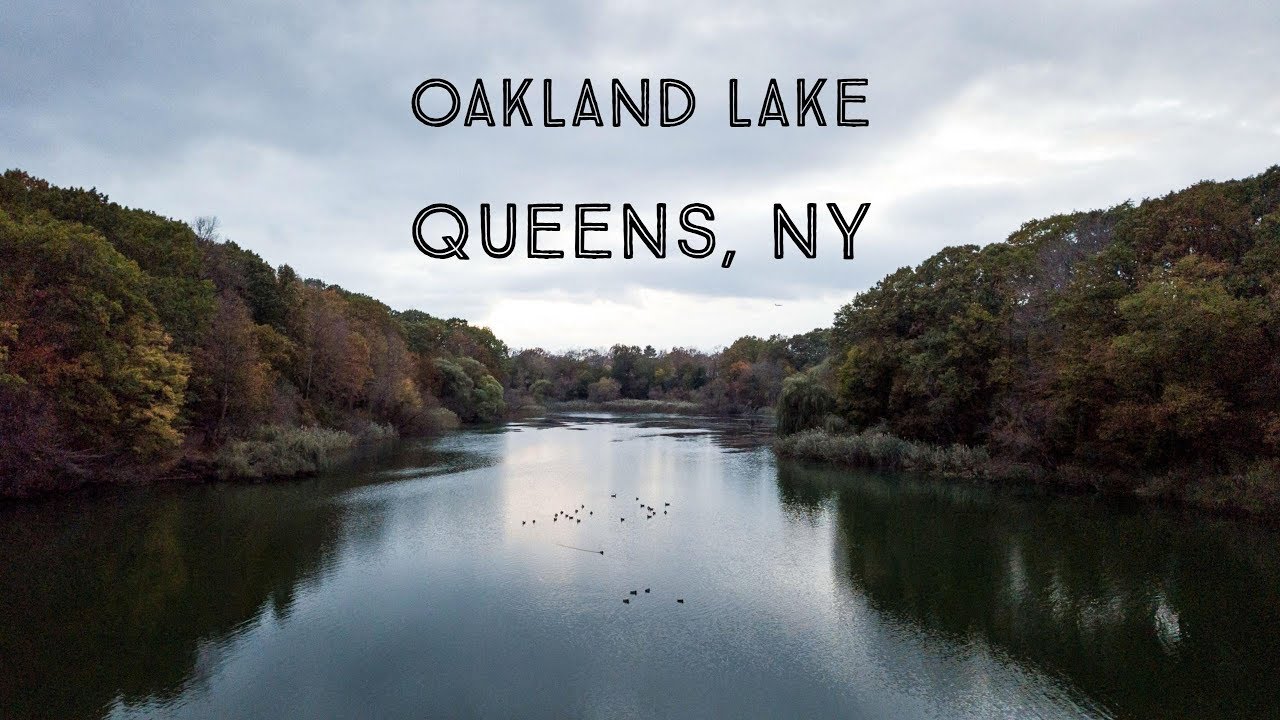 Oakland lake - Bayside Queens NYC - 4K - UHD - YouTube