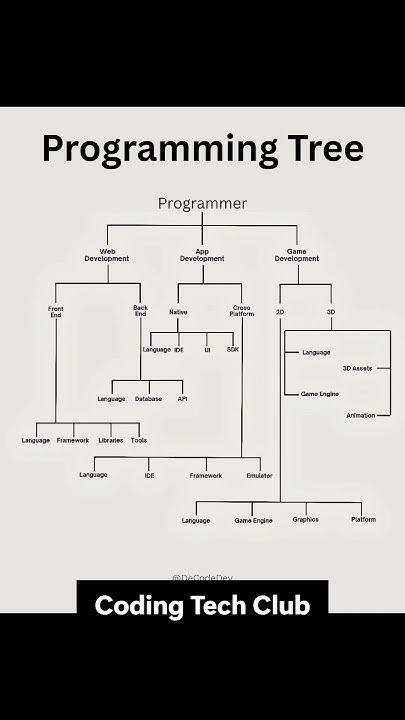 Programming Tree - A Simple Roadmap for Beginner Coders ︎ 🤠 - YouTube