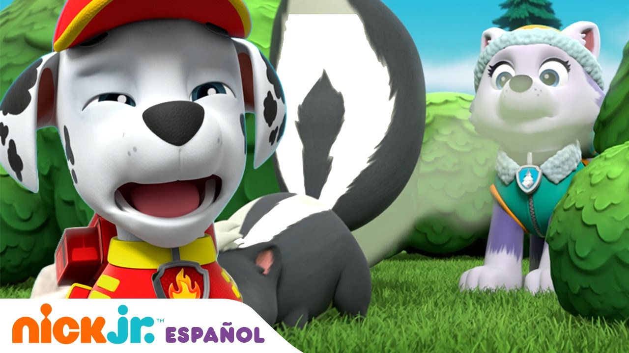 PAW Patrol, Patrulla de cachorros | ¡Everest necesita una ducha! | Nick ...