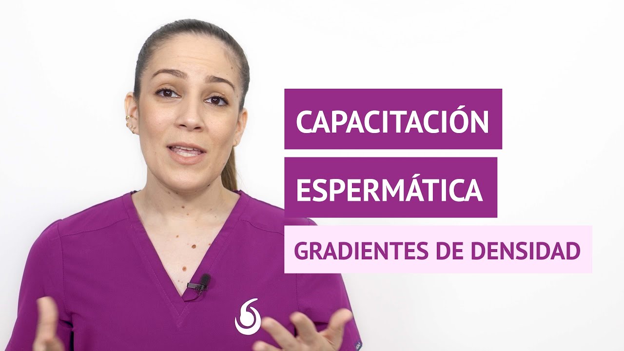 ¿En qué consisten los gradientes de densidad para la capacitación ...