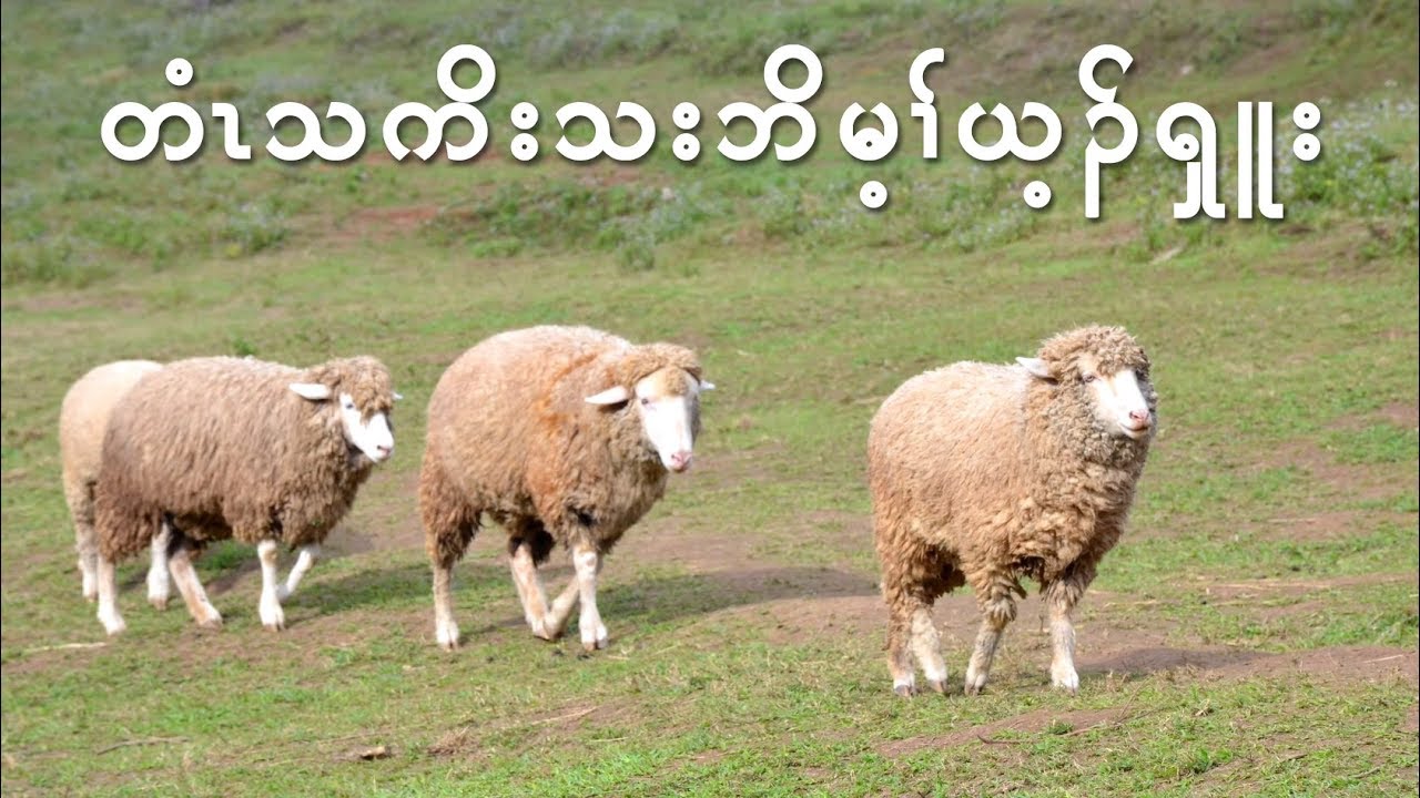 Hymn, What a Friend We Have in Jesus in Karen by Eh Wah & Eh Ler Tha ...