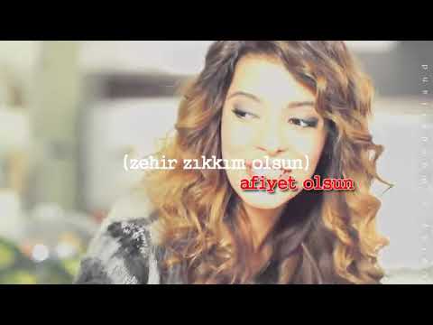 Şebnem Gülsoy