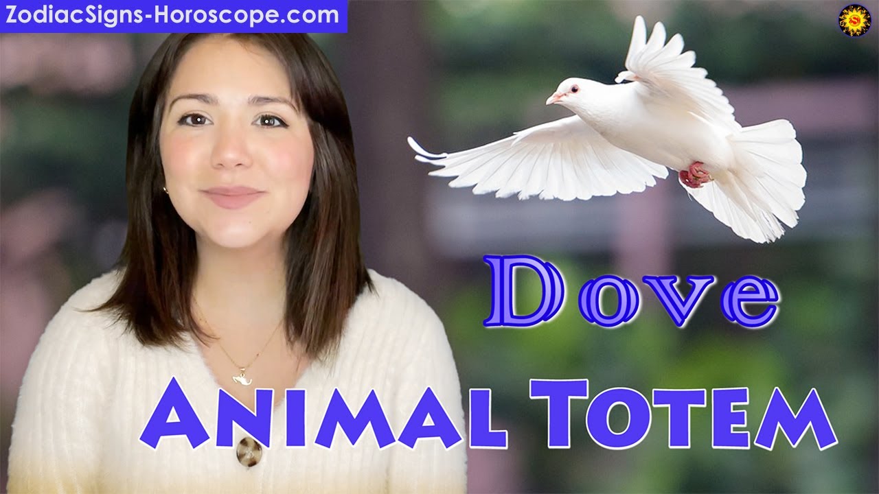 Dove Animal Totem - Dove Spirit Animal Meaning, Symbolism, Dream of the ...