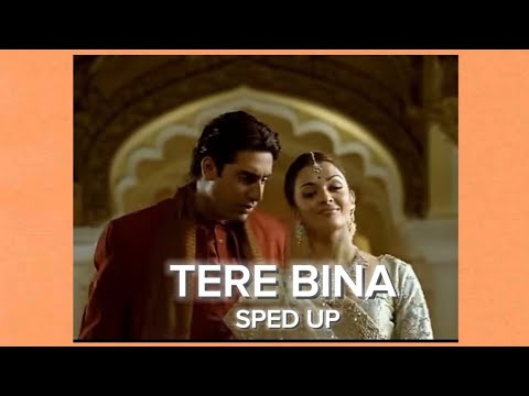 A.R. Rahman - TERE BINA (sped up)
