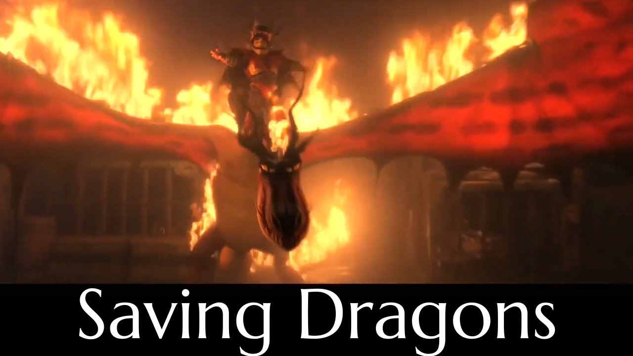 How to train your dragon Saving dragons - YouTube