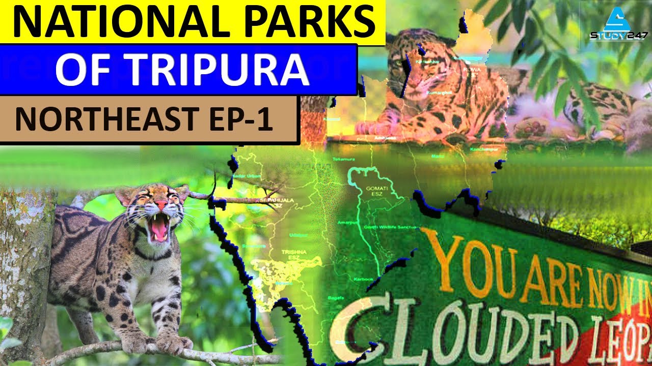 NORTHEAST: National Parks of Tripura | Tripura Wildlife Sanctuary ...