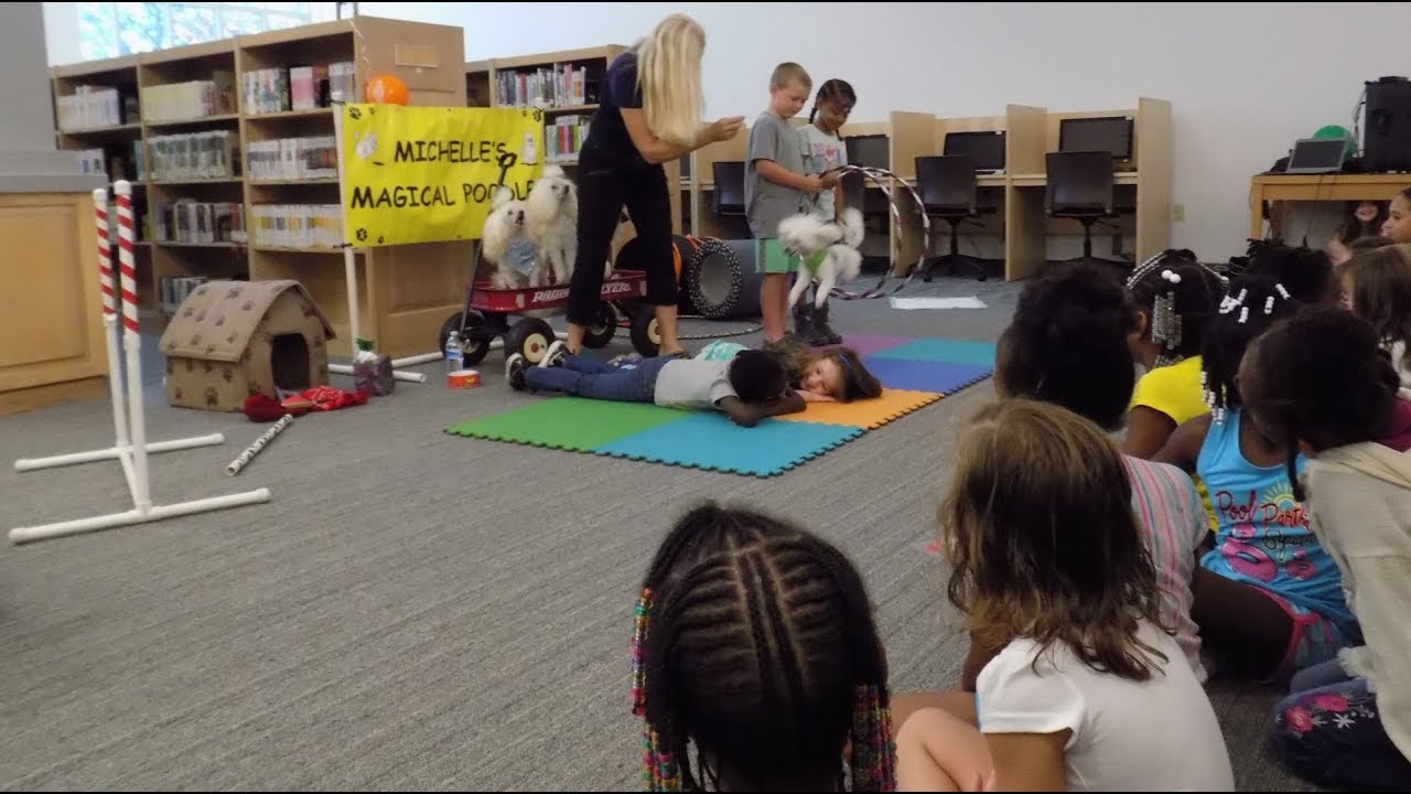 Michelle's Magical Poodles 2019 - YouTube