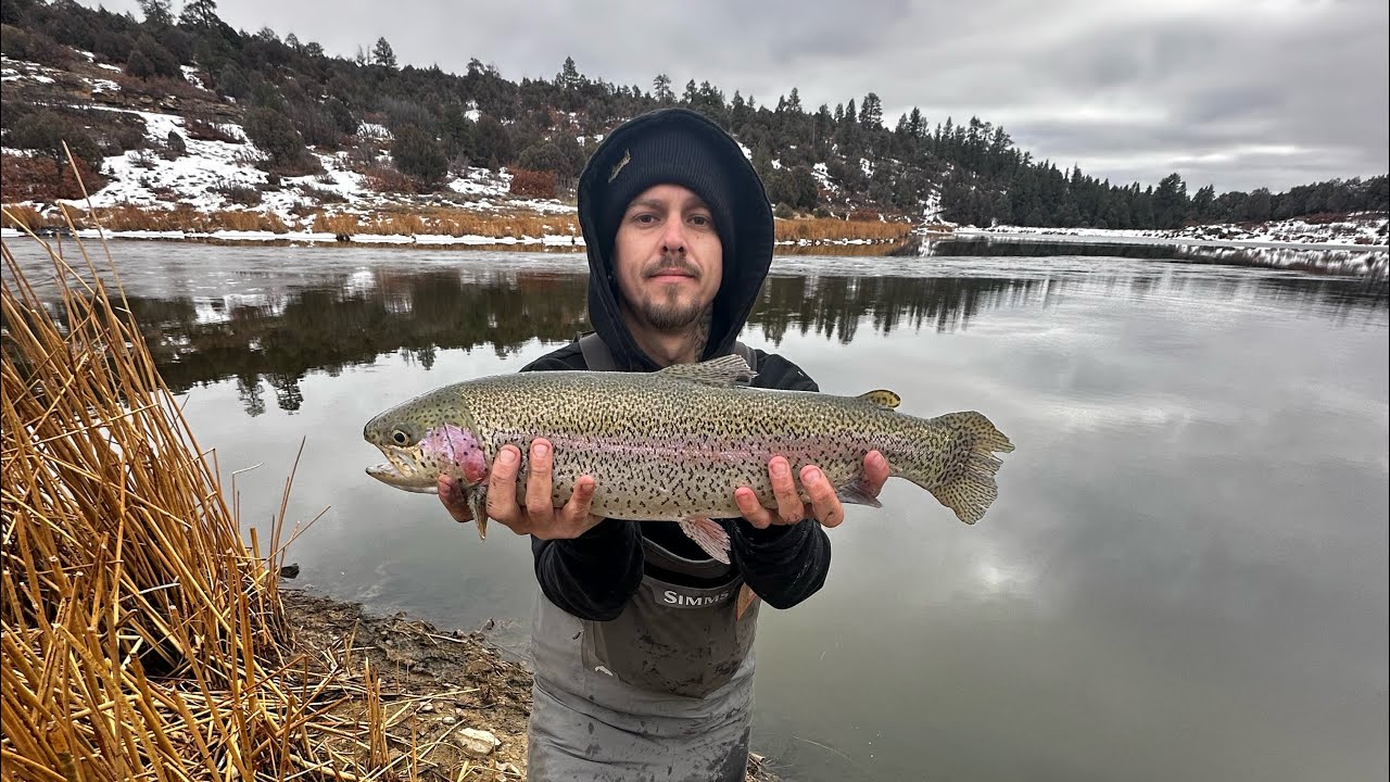 Catching monster trout in New Mexico waters - YouTube