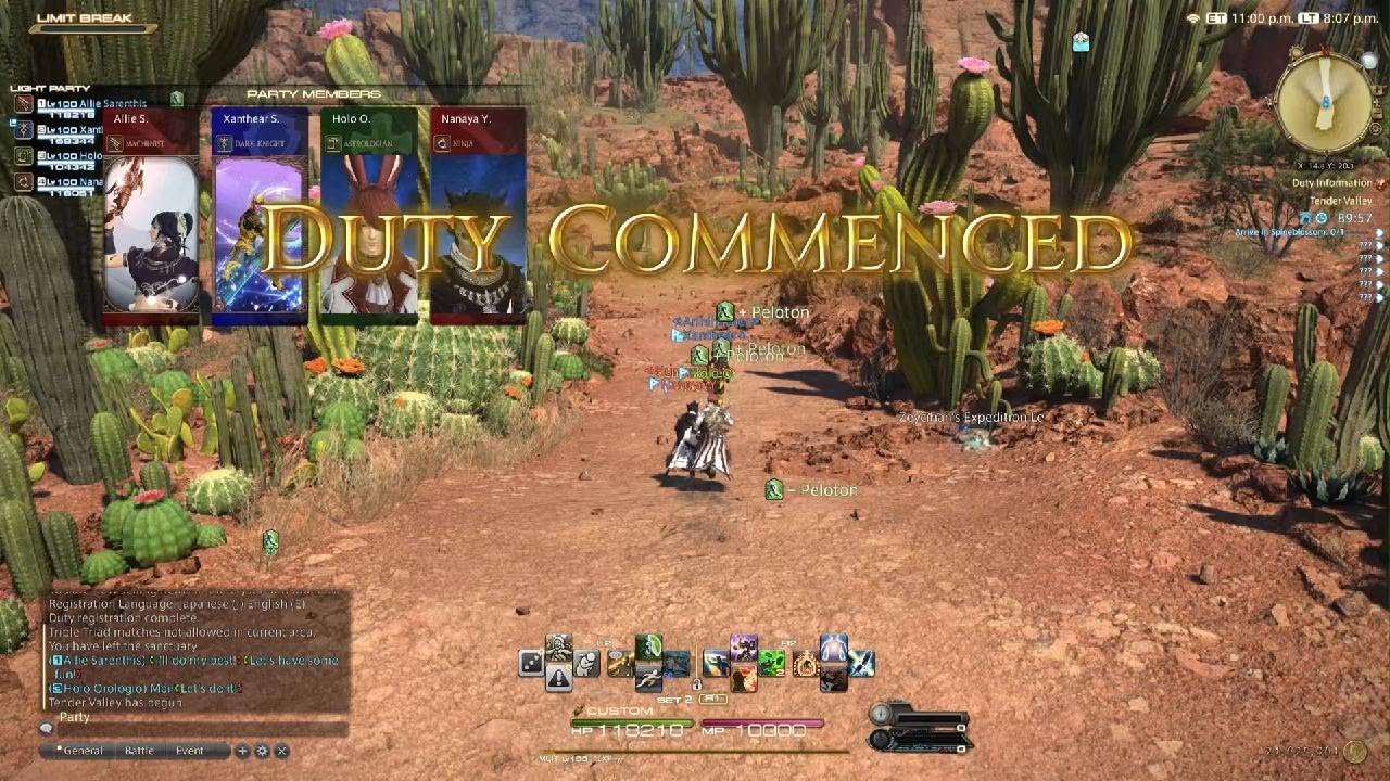 FFXIV Expert Duty Roulette - Tender Valley - YouTube