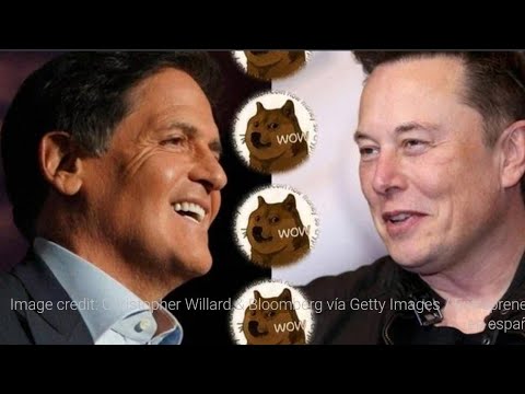 Mark cuban joins elon musk in believing in dogecoin(Mavricks now acepts ...