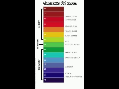 **In Class Measuring pH Level** - YouTube