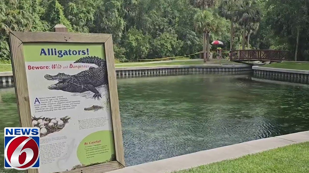 Gator warning to guests at Kelly Park's Rock Springs - YouTube