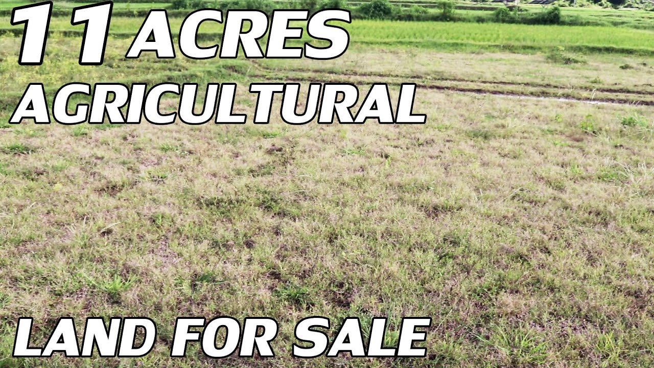 11 ACRES LAND FOR SALE | AGRICULTURAL AND REAL ESTATE VENTURE PURPOSE ...