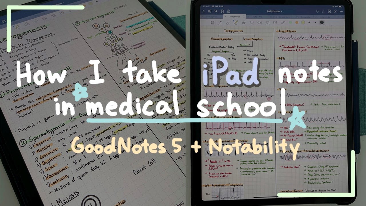 How I Take IPad Notes In Medical School GoodNotes5 Notability YouTube how-i-take-ipad-notes-in-medical-school-goodnotes5-notability-youtube